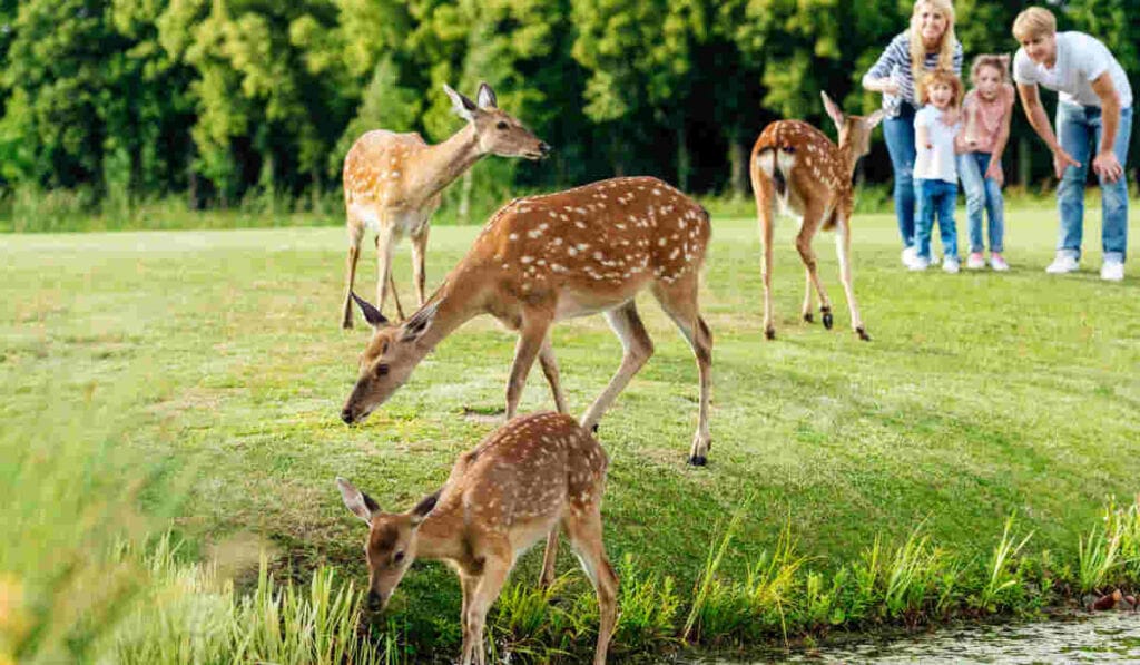 5 największych ogrodów zoologicznych w Polsce. - Ukrainian in Poland